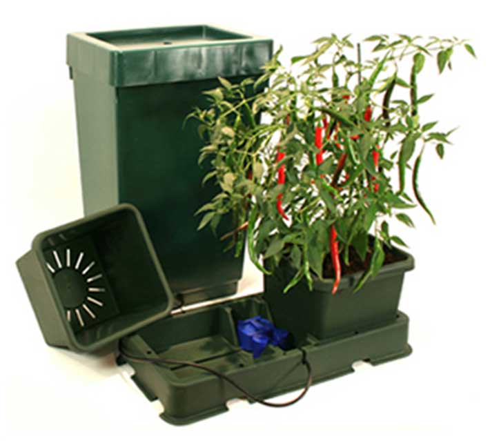 easy2grow Kit - AutoPot Watering Systems Asia